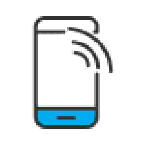 Self Pickup | Bringoz