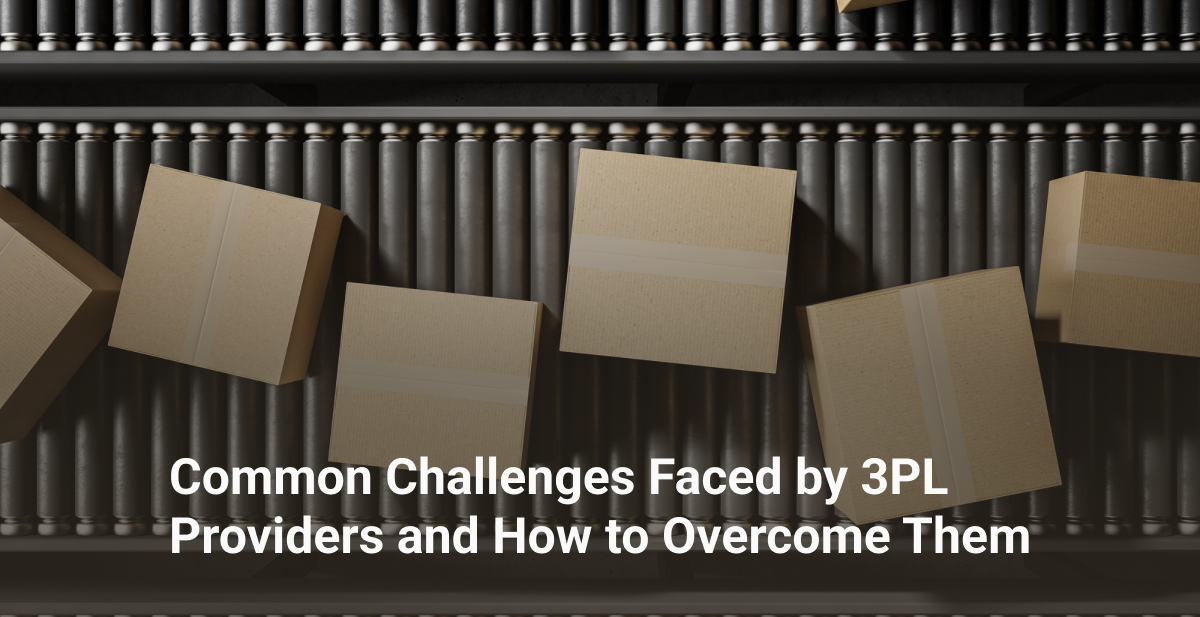Common Challenges Faced by 3PL Providers and How to Overcome Them | Bringoz