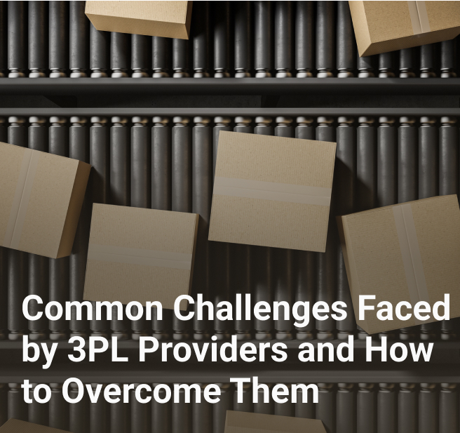 Common Challenges Faced by 3PL Providers and How to Overcome Them | Bringoz